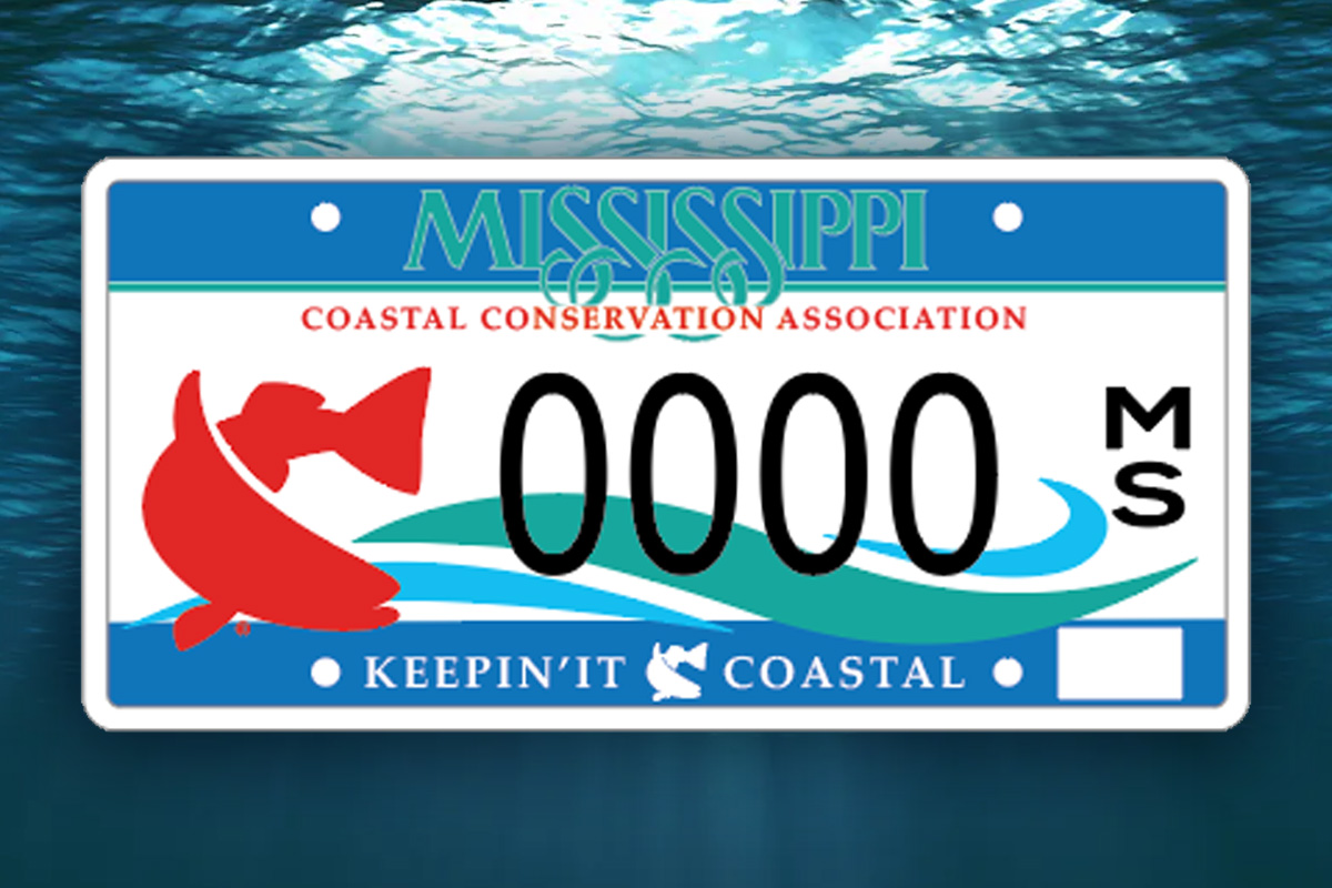 CCA License Plates | Coastal Conservation Association - Mississippi